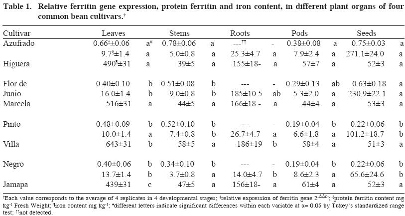 Iron content and ferritin gene expression in common bean (Phaseolus ...