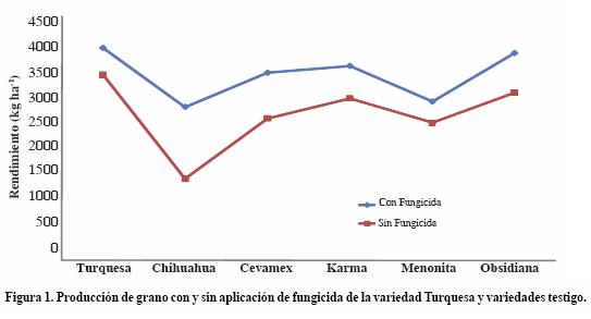 Turquesa, nueva variedad de avena para la producción de grano y forraje ...