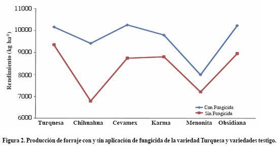 Turquesa, nueva variedad de avena para la producción de grano y forraje ...