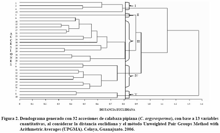 Caracterización morfológica de la calabaza pipiana (Cucurbita ...