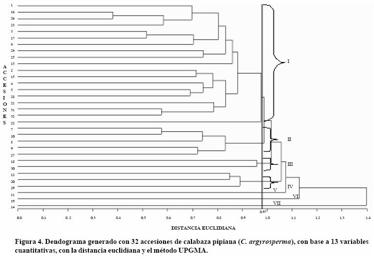 Caracterización morfológica de la calabaza pipiana (Cucurbita ...