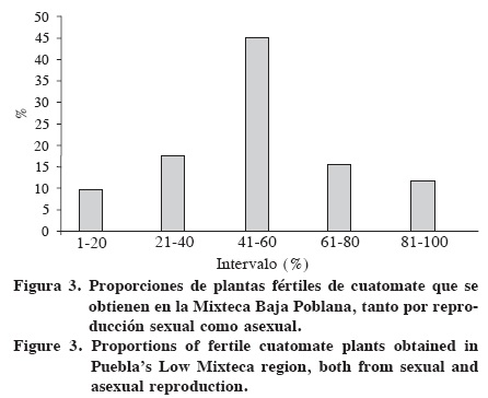Conocimiento tradicional del "cuatomate" (Solanum glaucescens Zucc) en ...
