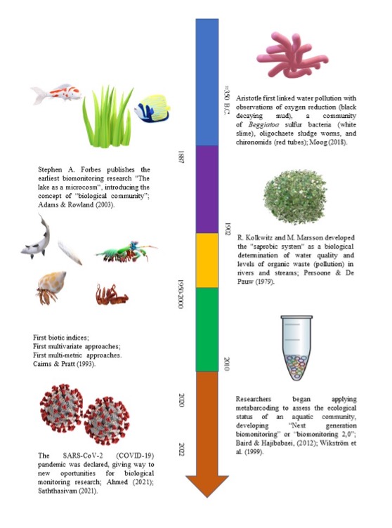 Bioindicators and biomonitoring: Review of methodologies applied in ...