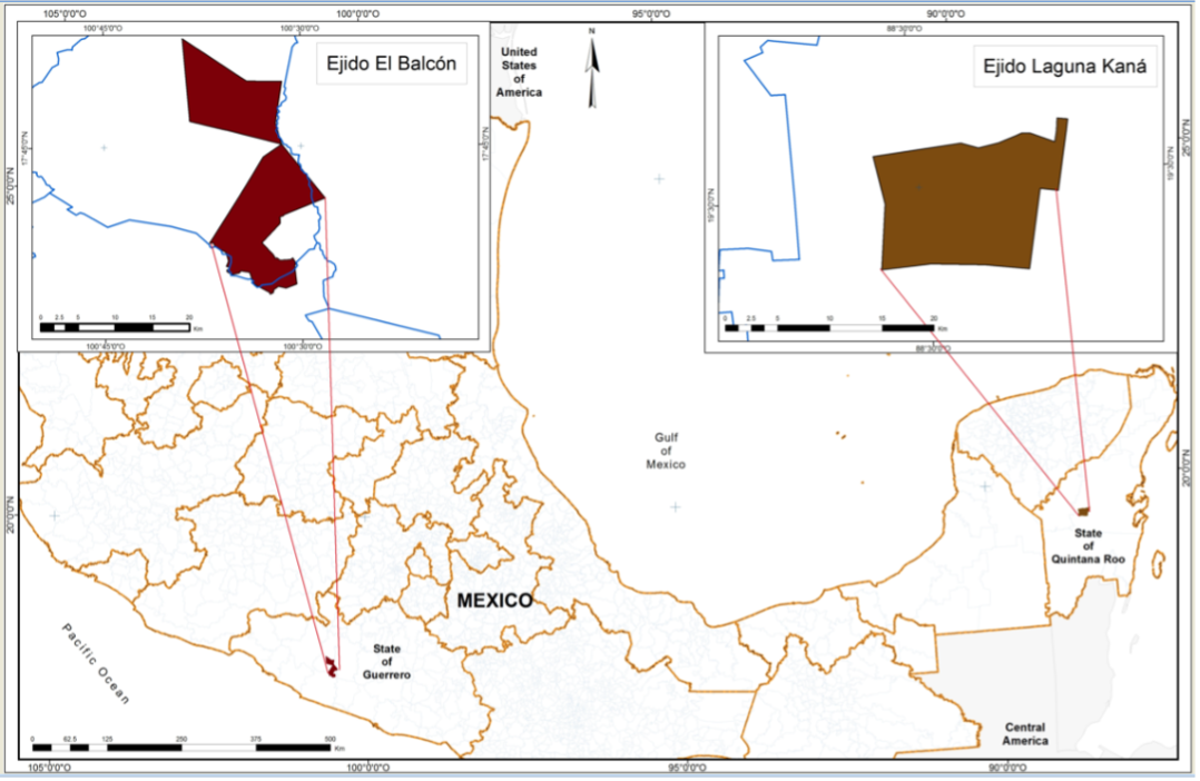 Bequest value in two forest communities in Mexico