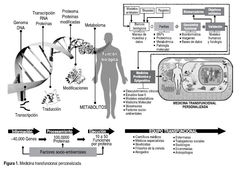 Del proteoma humano a la medicina transfuncional personalizada