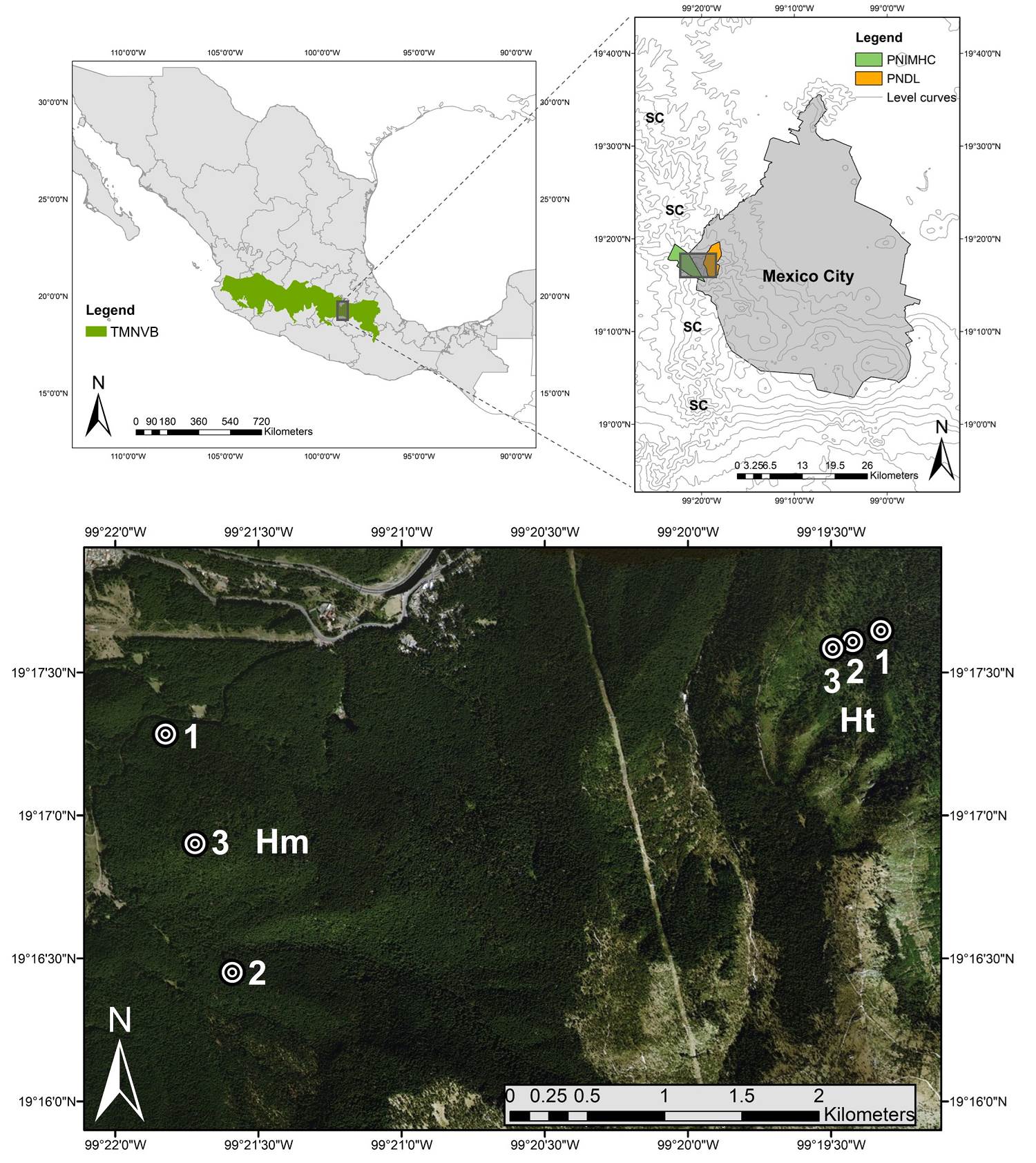 Tree stratum alteration decreases C use efficiency and the stability of ...