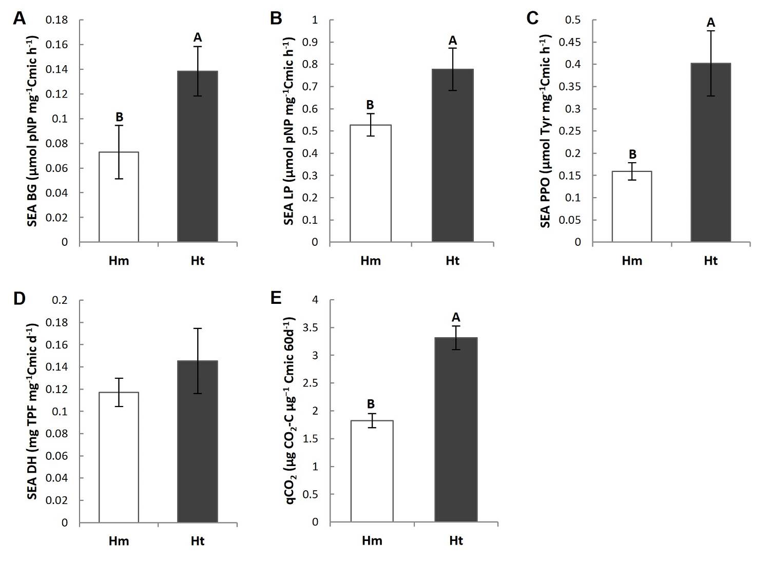 Tree stratum alteration decreases C use efficiency and the stability of ...