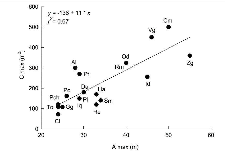 Relaciones alométricas de 19 especies de árboles de la selva alta ...