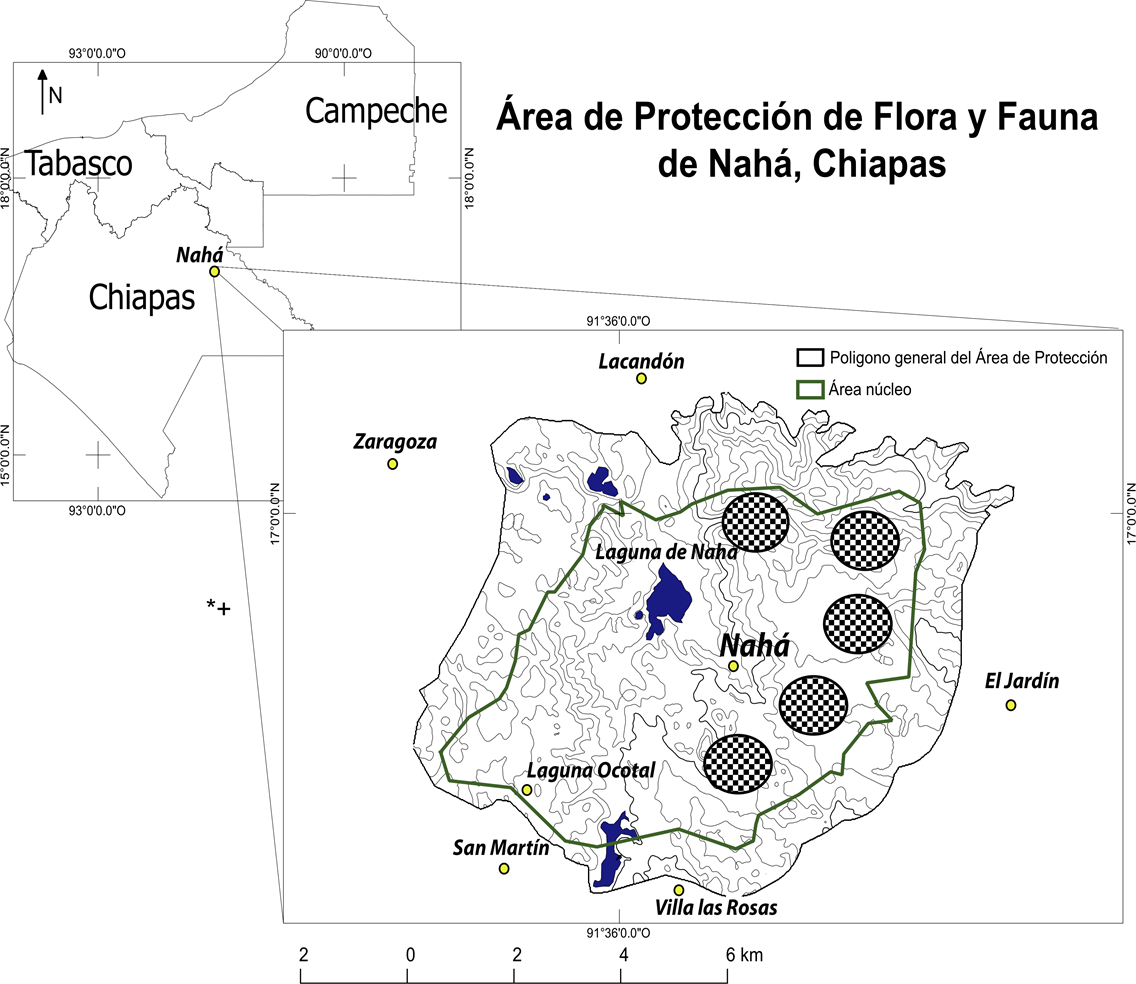 Estructura de la selva alta perennifolia de Nahá, Chiapas, México