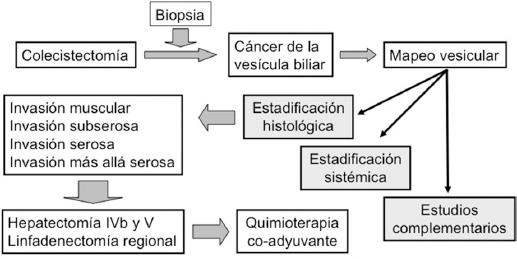Extensión del tratamiento quirúrgico y quimioterapia adyuvante en ...