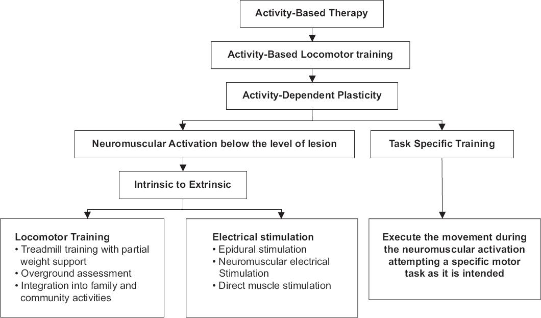 Activity-based locomotor training: improving the movement in children ...