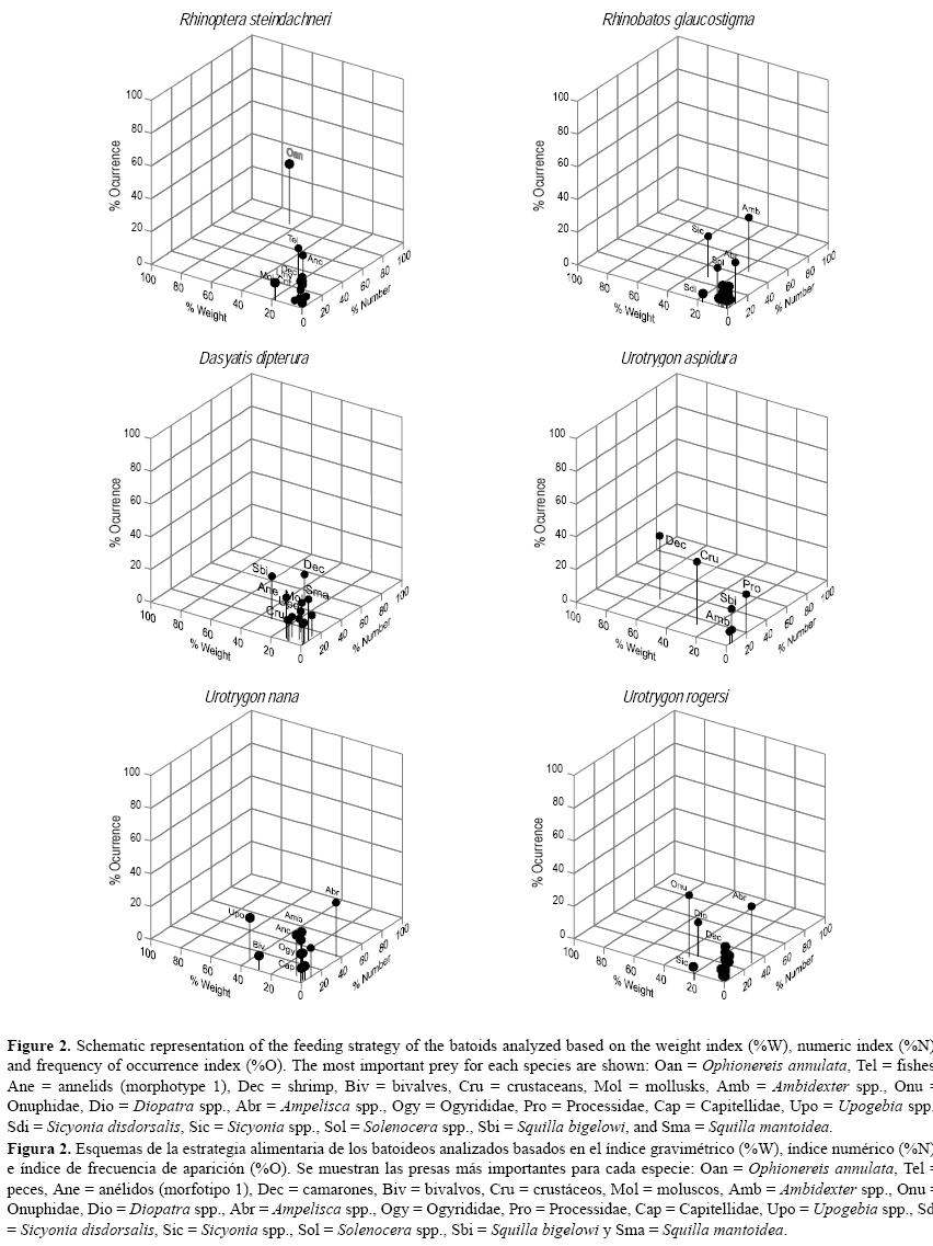 Composición trófica de batoideos en la plataforma continental frente a ...