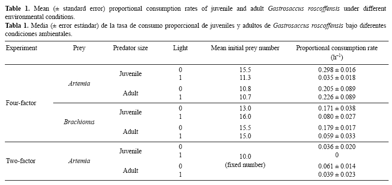 Viabilidad del cultivo del misidáceo Gastrosaccus roscoffensis ...