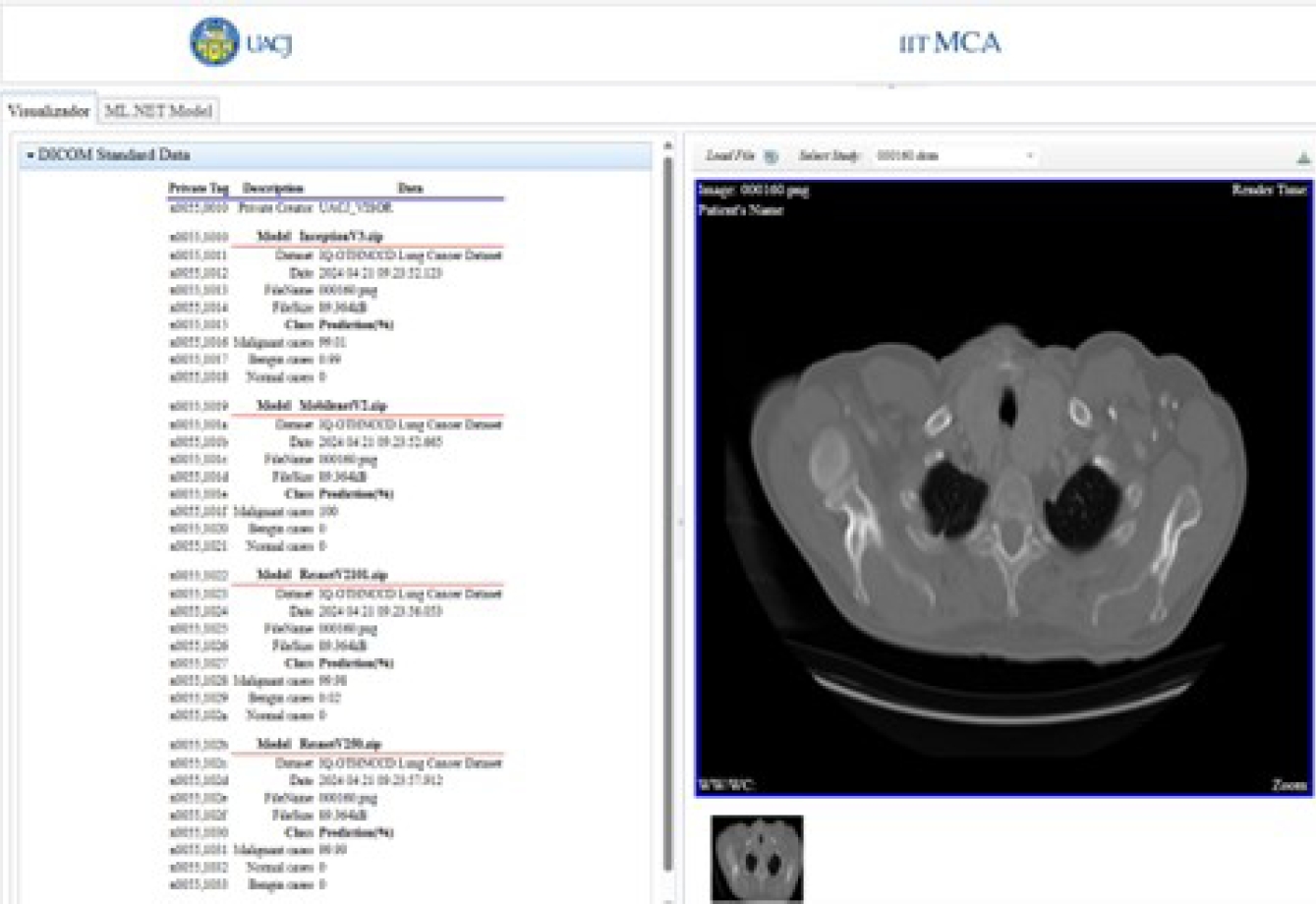 Framework to Support Radiologist Personnel in the Diagnosis of Diseases ...