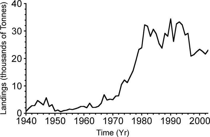 Relation between the sharpnose shark Rhizoprinodon terranovae in the ...