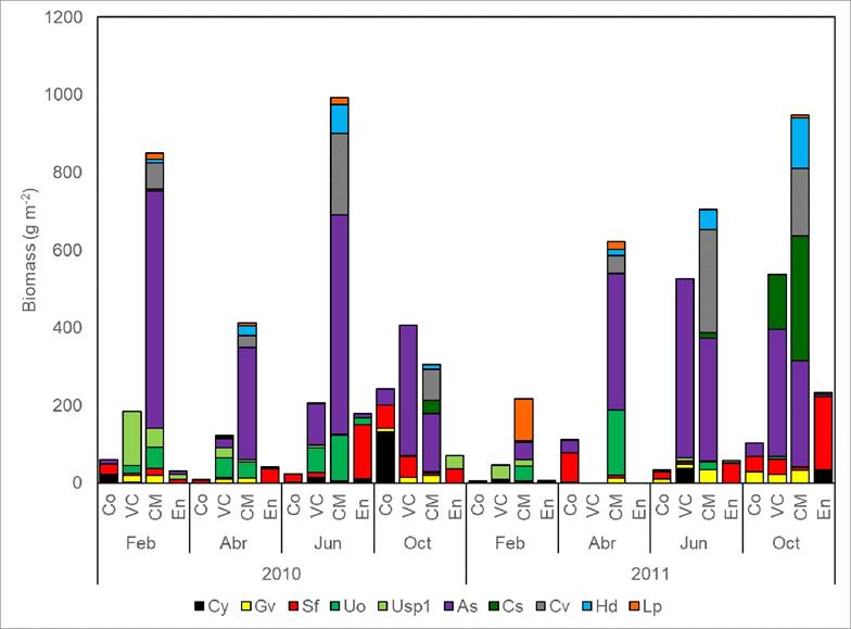 Macroalgae blooms, composition, abundance, and their relationship with ...