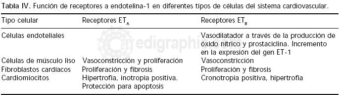 Sistema endotelina