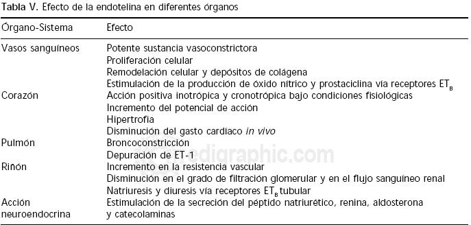 Sistema endotelina