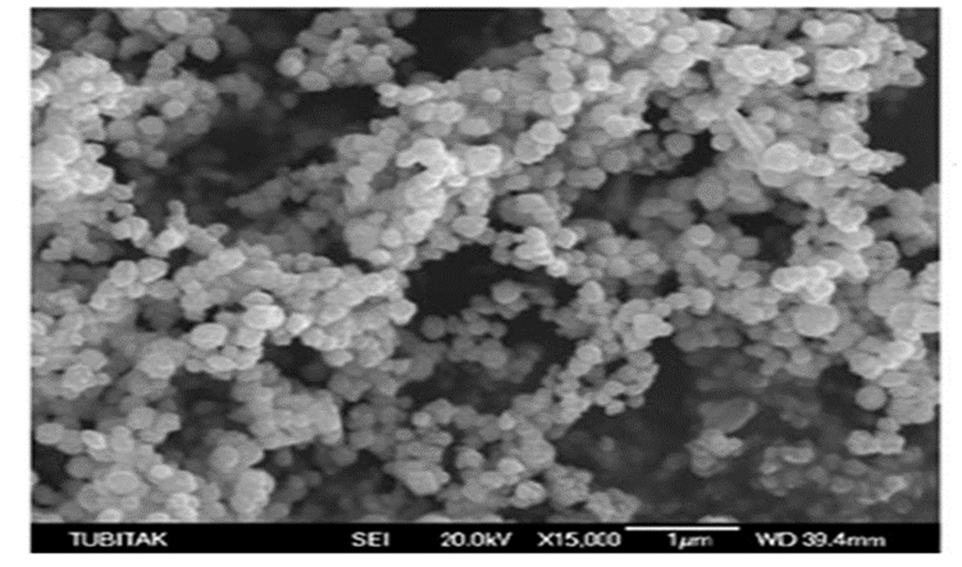 Green Synthesis of Nickel Nanoparticles using Fruit Peels of Citrus ...