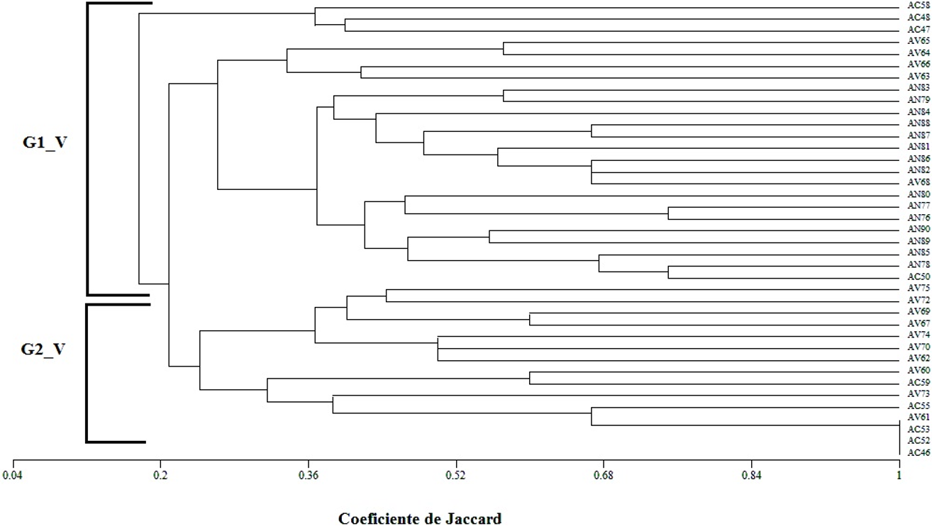Estructura y composición de leñosas en dos bosques de las regiones ...