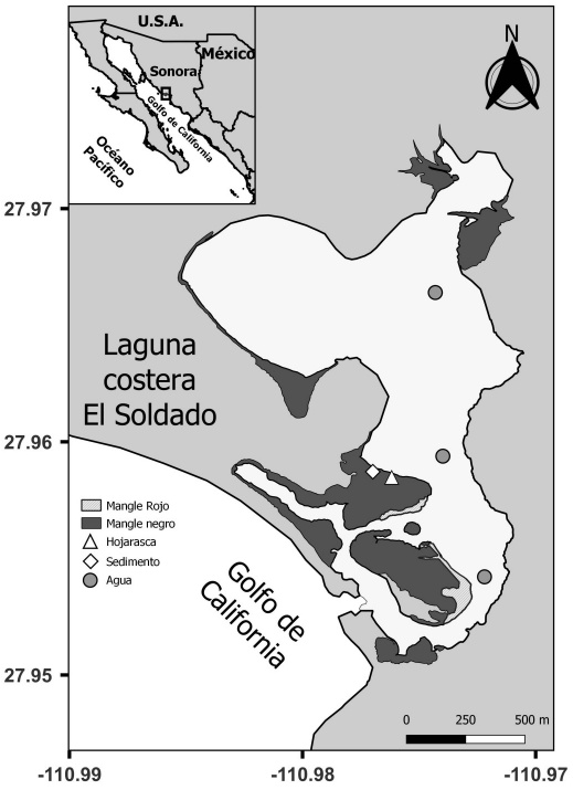 Comportamiento estacional de bacterias en sedimentos de mangle negro ...