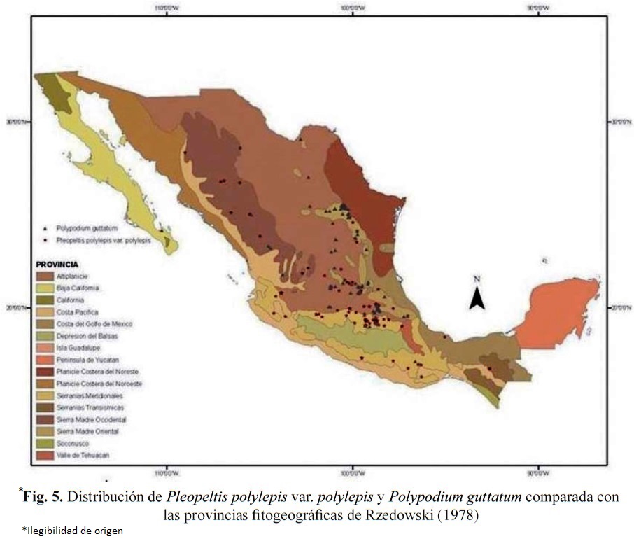 Distribución potencial del híbrido Pleopeltis polylepis (Roemer ex ...