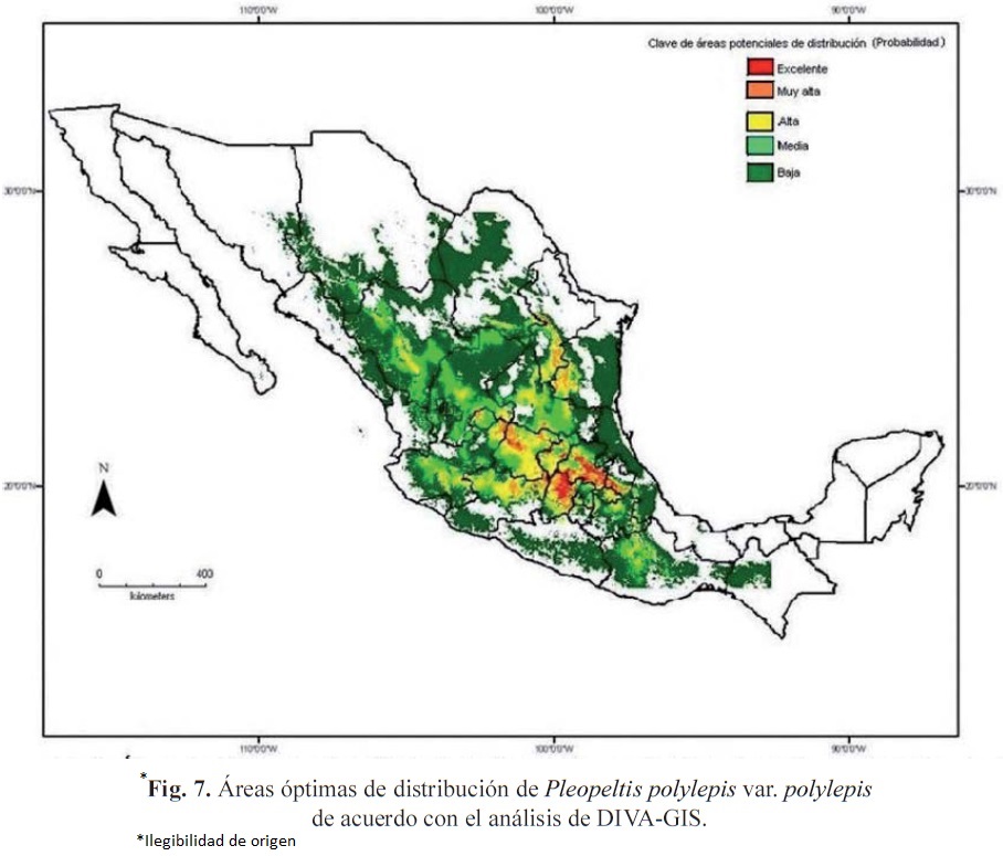 Distribución potencial del híbrido Pleopeltis polylepis (Roemer ex ...