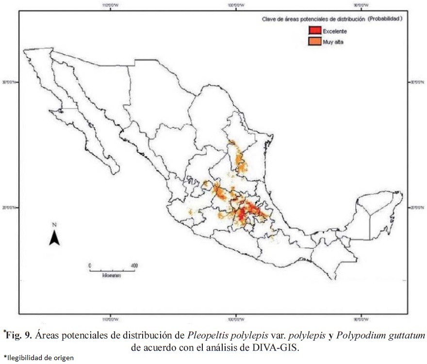 Distribución potencial del híbrido Pleopeltis polylepis (Roemer ex ...
