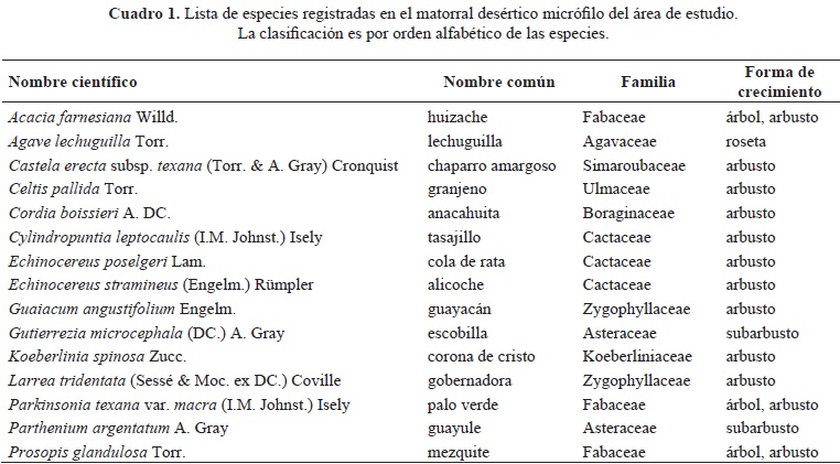 Composición y diversidad vegetal de un área de matorral desértico ...