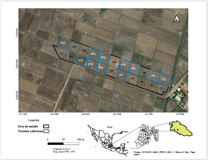 Monitoreo de áreas de cultivo de maíz en la zona noroeste del Estado de ...