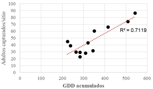 Cálculo de grados días de Hypothenemus hampei a través de imágenes ...