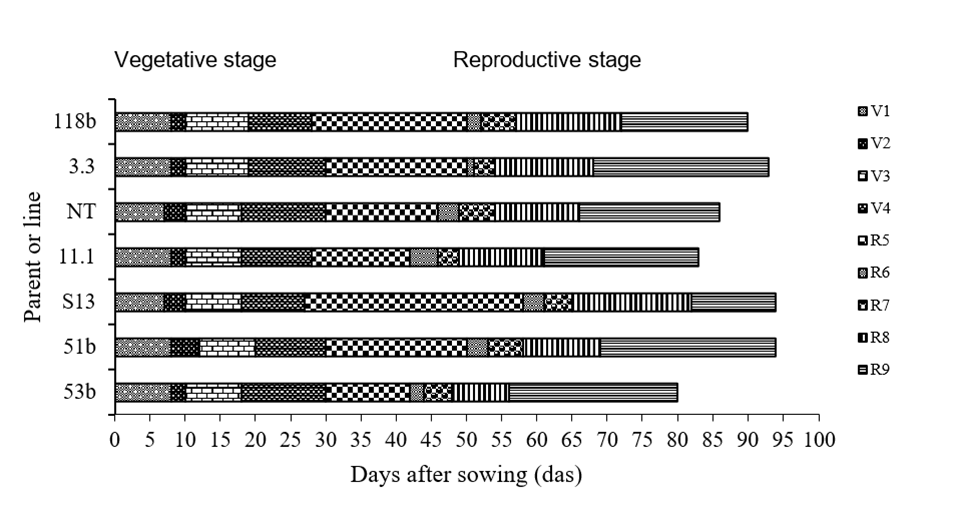 Yield, biomass and phenology of the cross between wild and domesticated ...