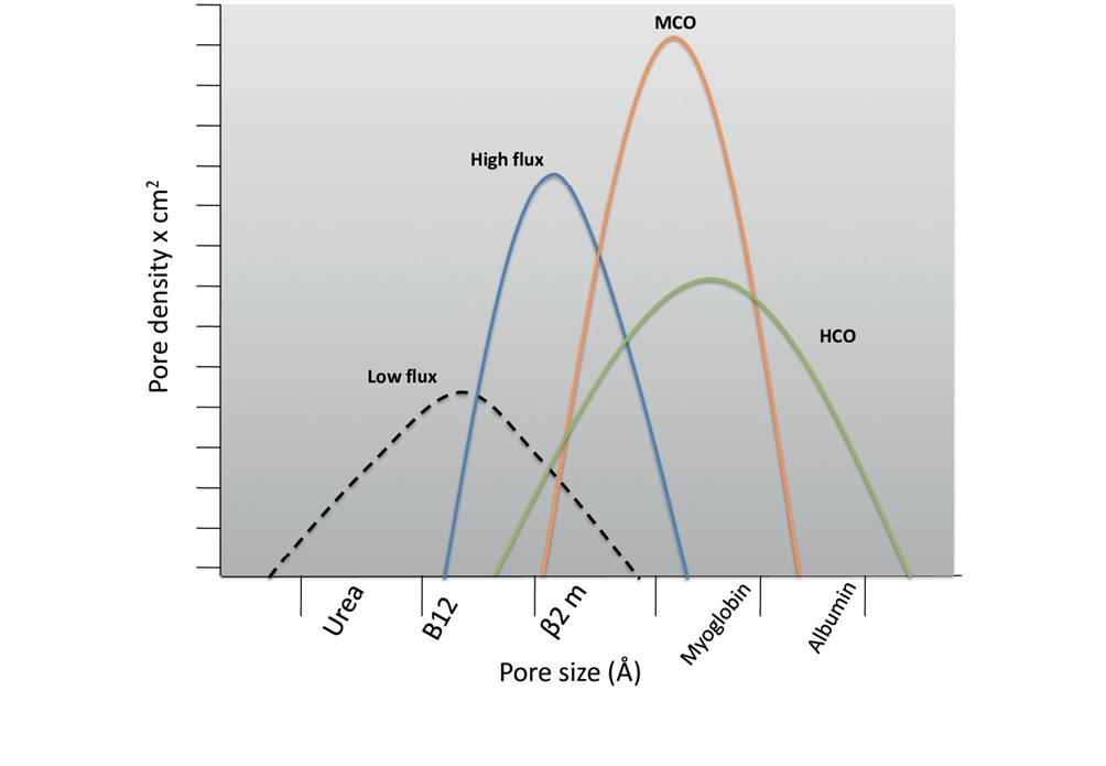 Pushing the Boundaries of Hemodialysis: Innovations in Membranes and ...