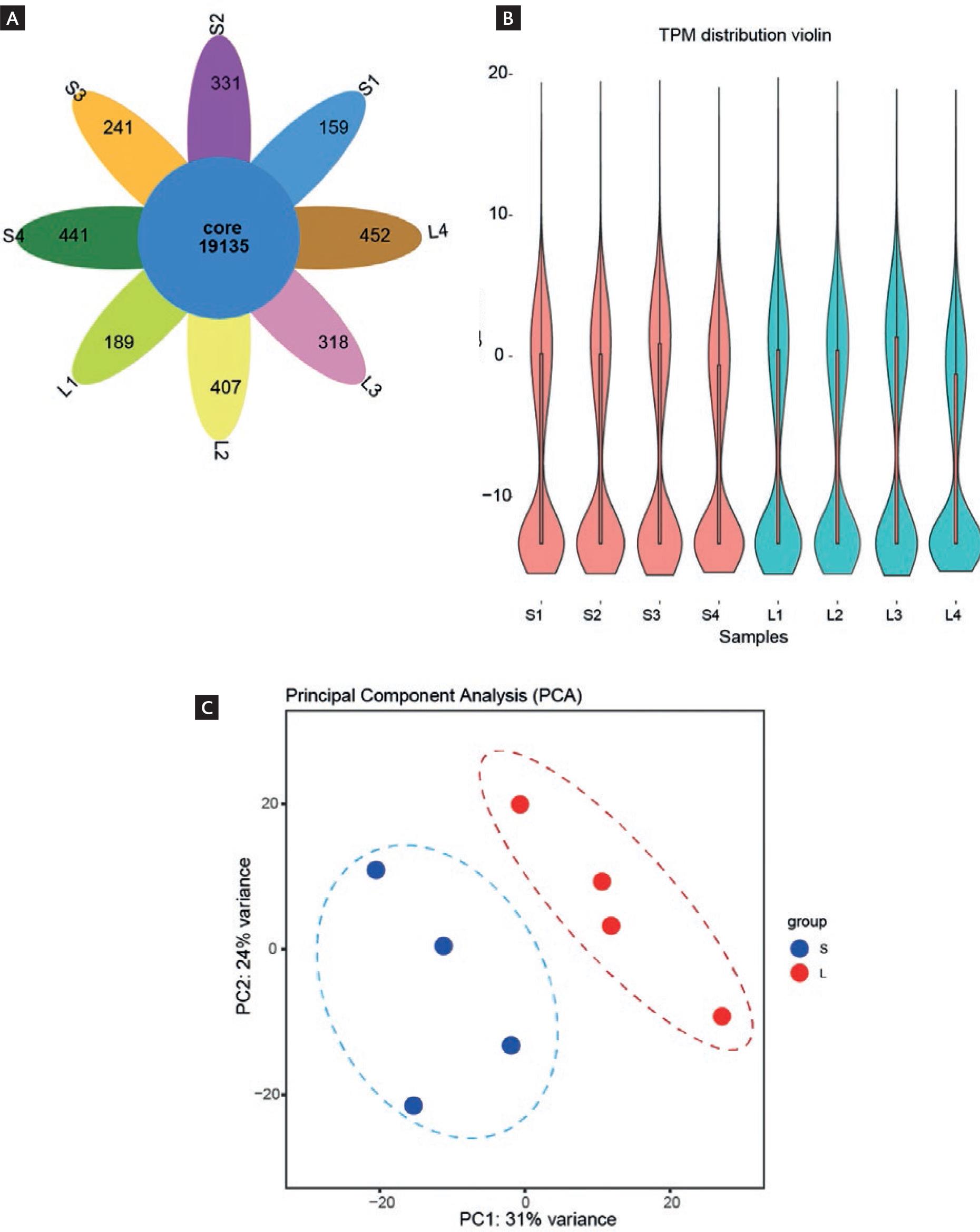 Distinctive Features of IncRNA and mRNA Between Severe and Mild ...