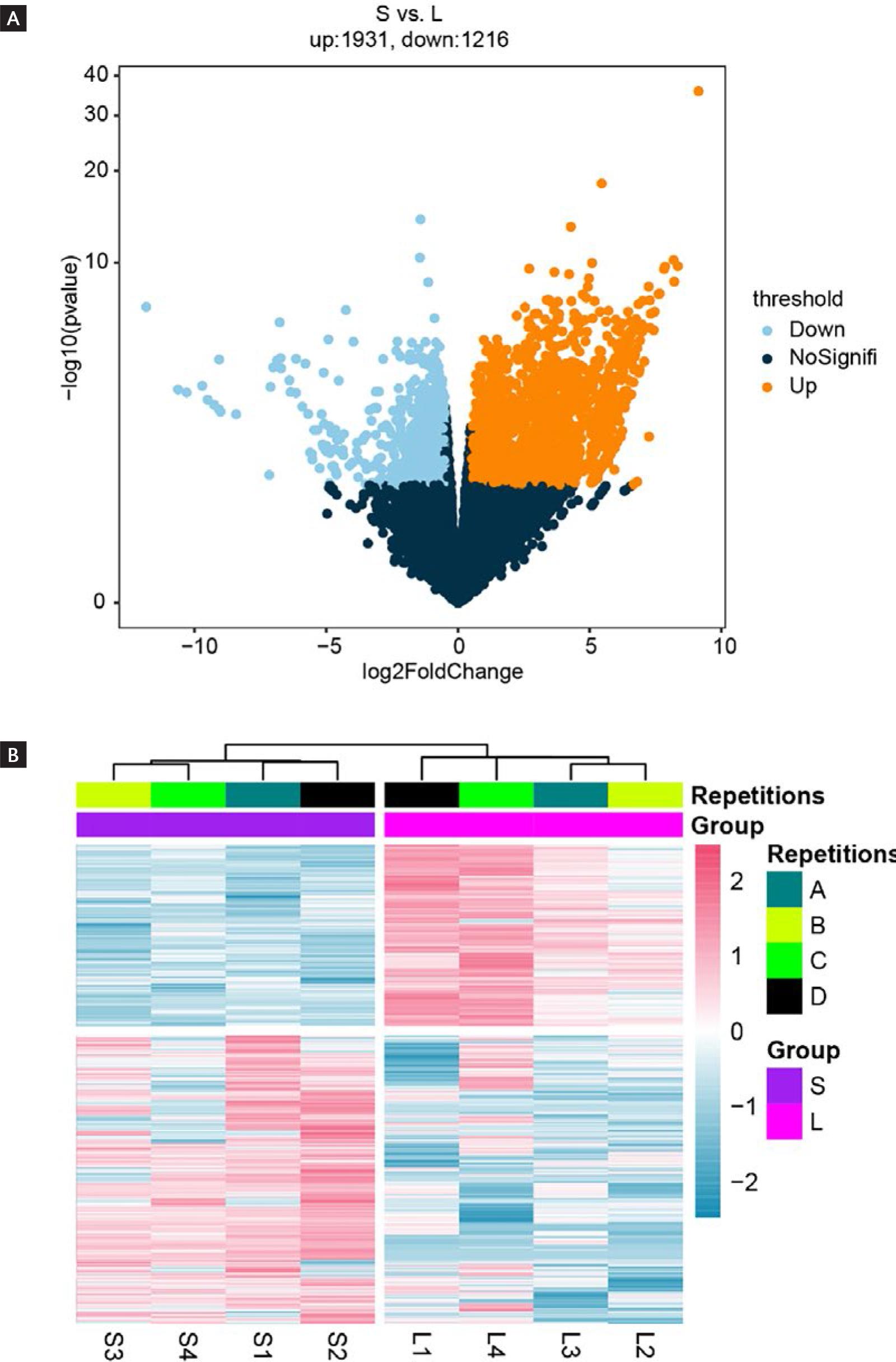 Distinctive Features of IncRNA and mRNA Between Severe and Mild ...