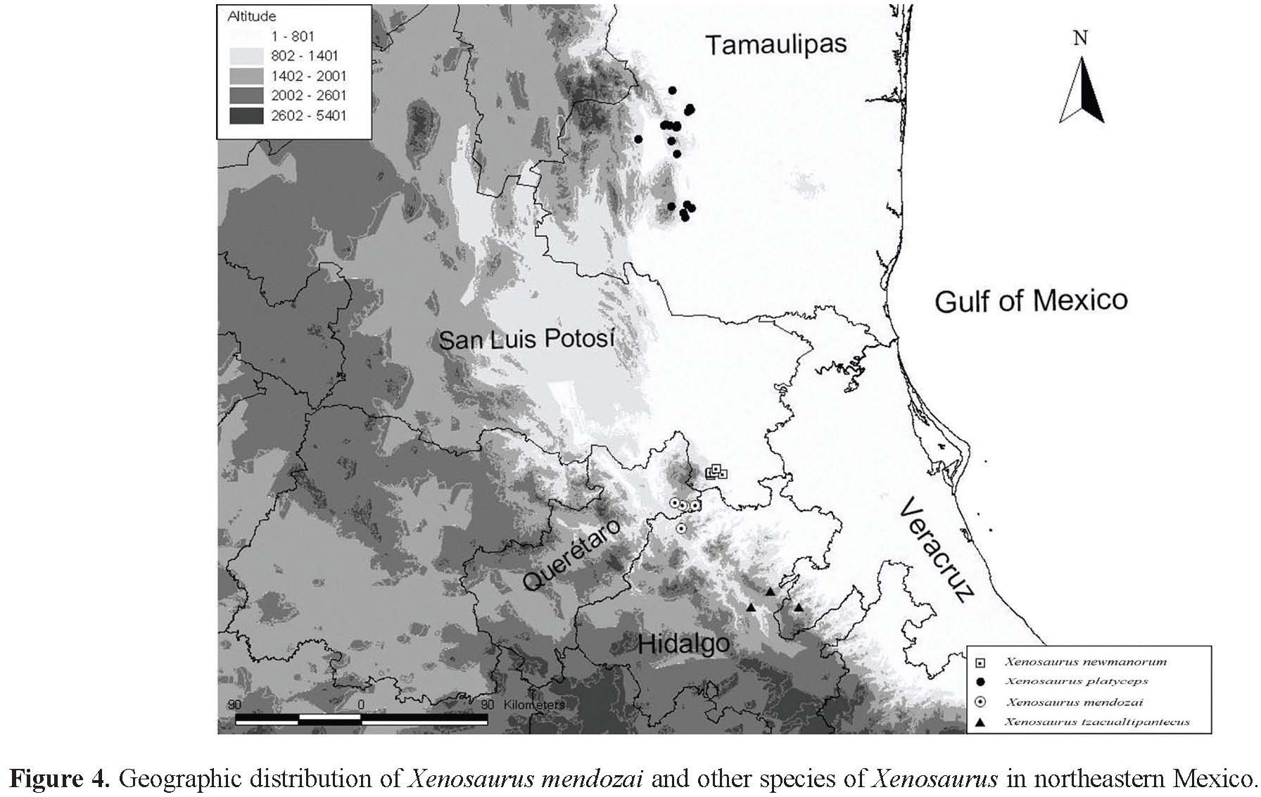 A new species of Xenosaurus (Squamata: Xenosauridae) from the Sierra ...
