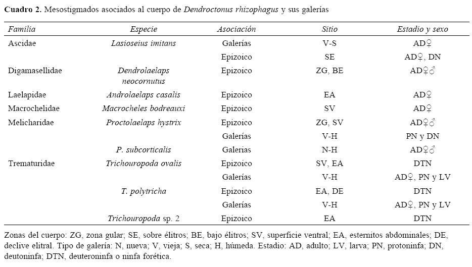 Mesostigmados (Acari: Mesostigmata) asociados con Dendroctonus ...