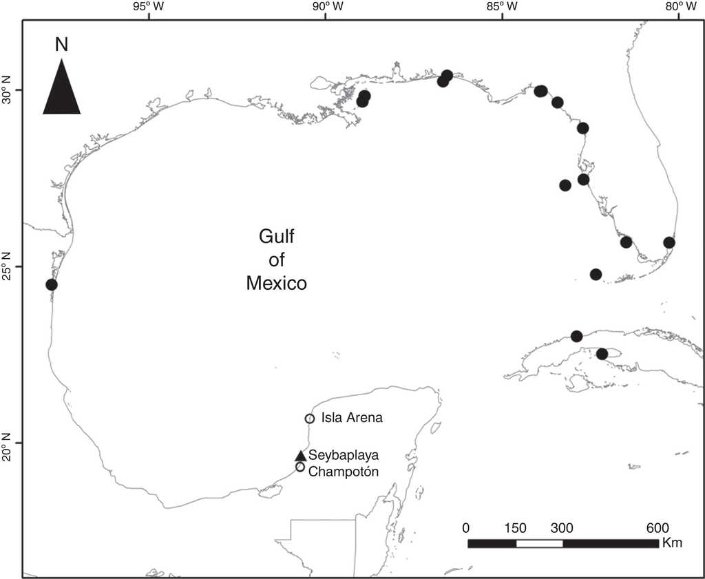 First record of Ambidexter symmetricus (Decapoda: Caridea: Processidae ...