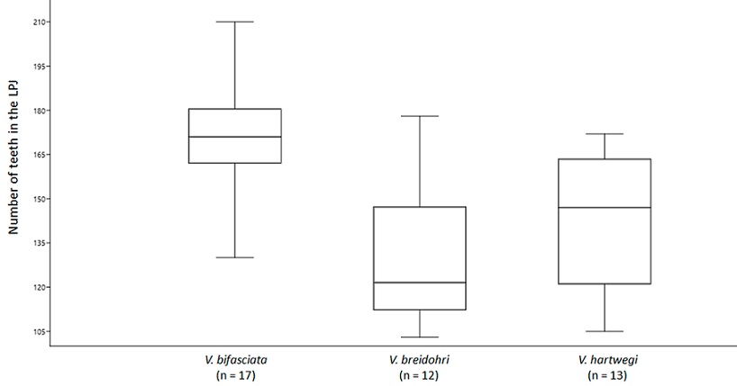Geometric morphometric comparison of the oral and lower pharyngeal jaws ...