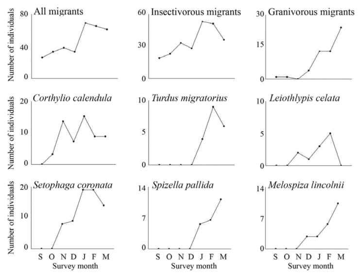 Ephemeral and intermittent xeroriparian systems are keystone habitats ...