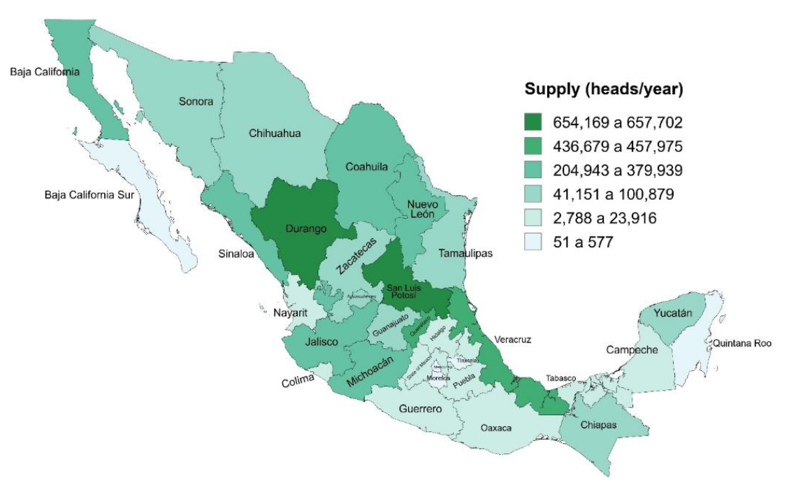 The network of cattle mobilized in Mexico for slaughter 2017-2021