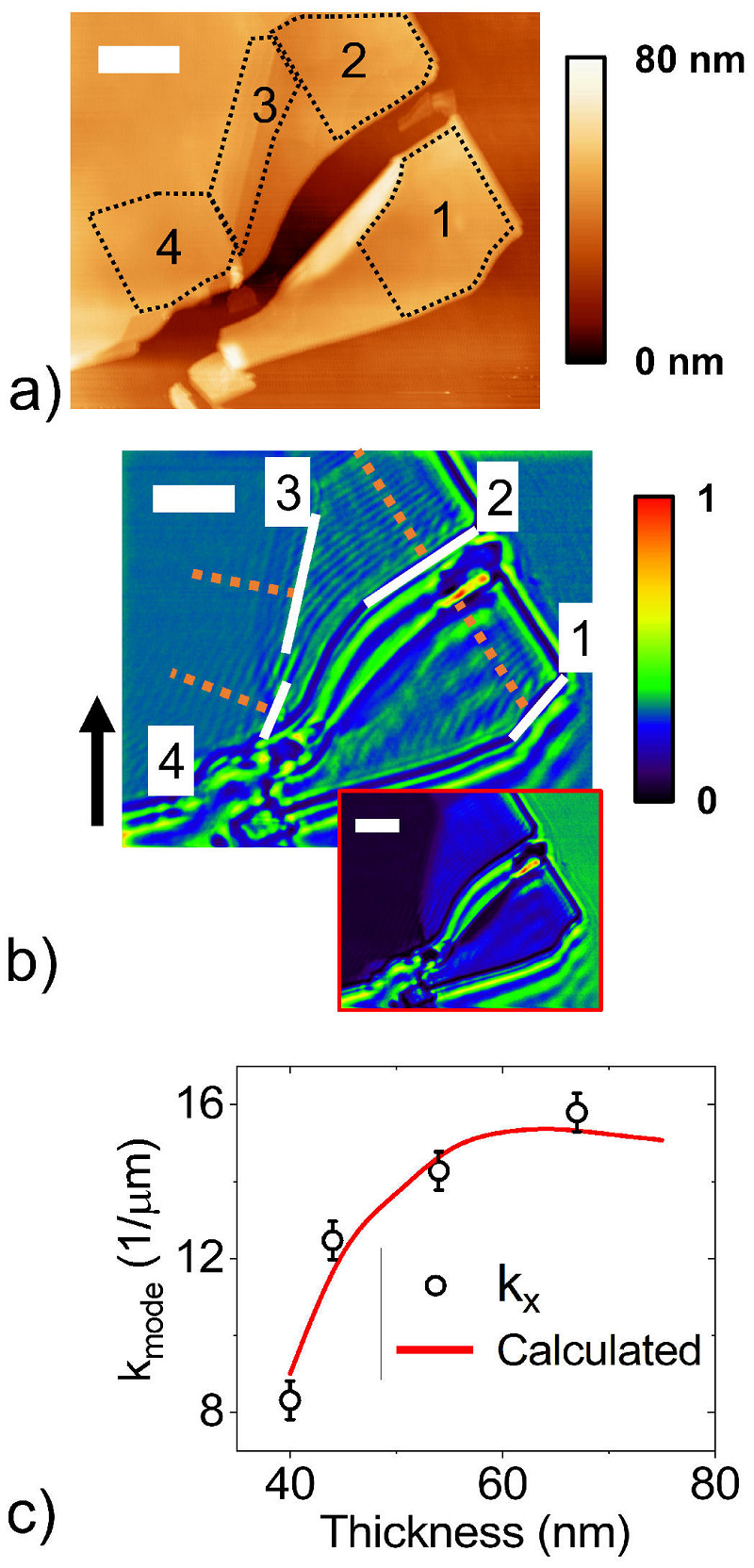 In-situ momentum dispersion in a single crystal of MoS2