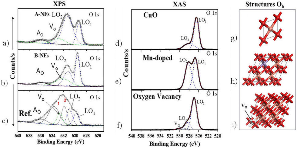 Paramagnetism found in Mn-doped CuO nanofibers at room temperature ...