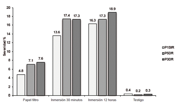 Etiology of rhizome rot of asparagus (Asparagus officinalis) in Atenco ...