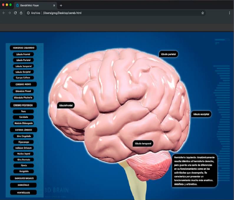 Web-based Interactive 3D Modeling and Visualization of the Human Brain ...