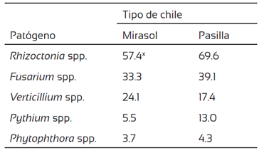 Necrosis foliar; nuevo síntoma asociado a la pudrición de la raíz de ...