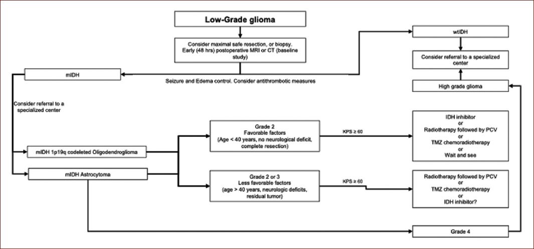 First Mexican consensus guideline for the management of IDH-mutant low ...