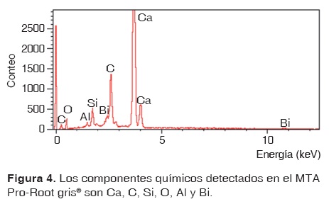 Similitud de la morfología y química elemental de los cementos tipo ...