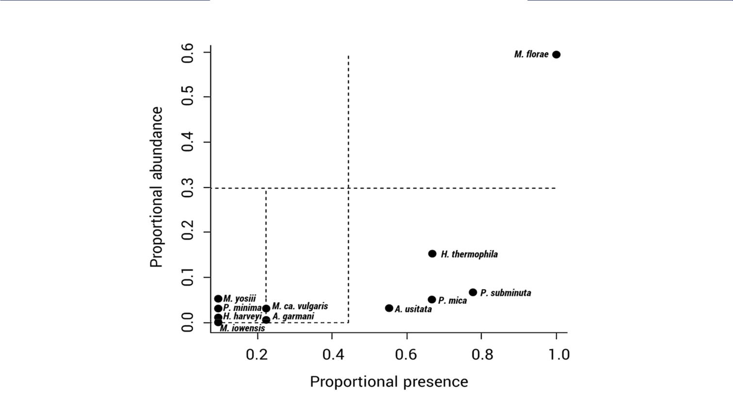 Mesofauna assemblages on the extraradical mycelium of Pinus greggii ...