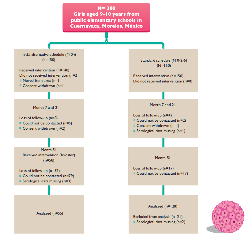 The effect of a booster dose of HPV tetravalent vaccine after 51 months ...